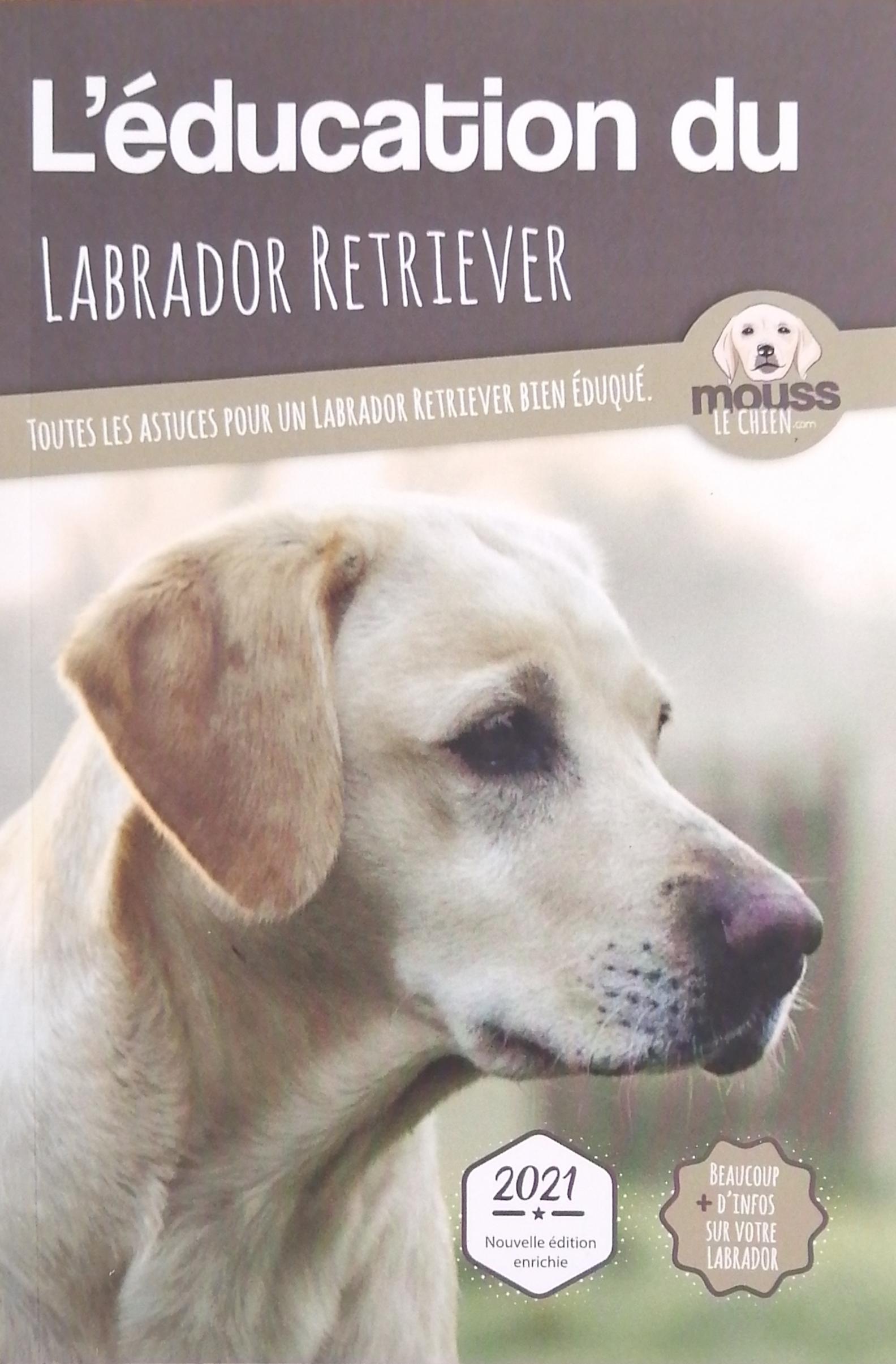 L'éducation du Labrador Retriever : Toutes les astuces pour un Labrador ...